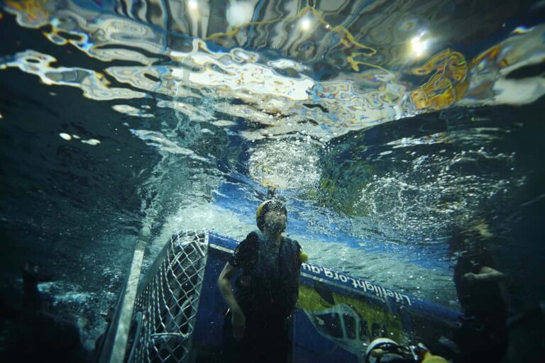 LifeFlight airlifts woman after horse fall